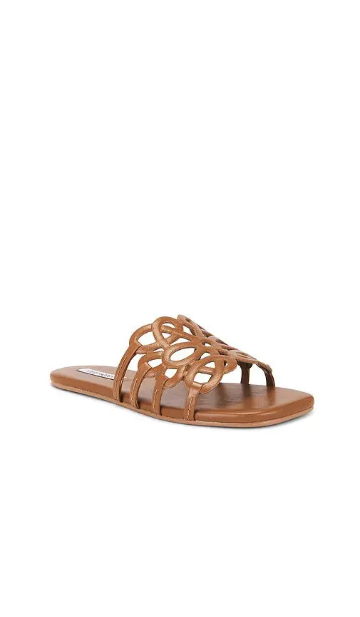 Steve Madden Lotus Sandal In Brown