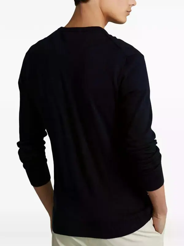 Polo Ralph Lauren Long Sleeve Crew Neck Sweater - Blue