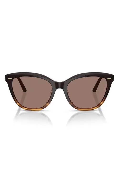 Oliver Spencer X Roger Federer Cat Eye Sunglasses - Cortado/sierra
