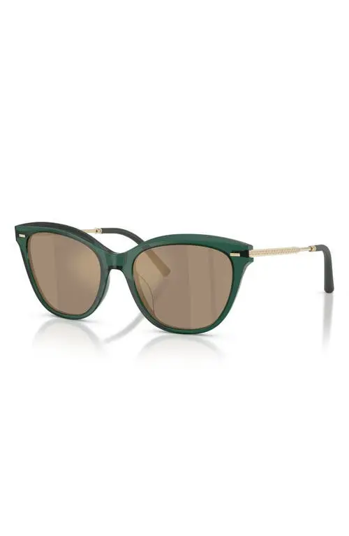 Oliver Spencer X Roger Federer Cat Eye Sunglasses - Translucent Dark Teal