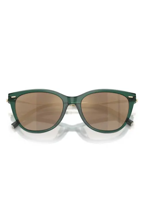 Oliver Spencer X Roger Federer Cat Eye Sunglasses - Translucent Dark Teal