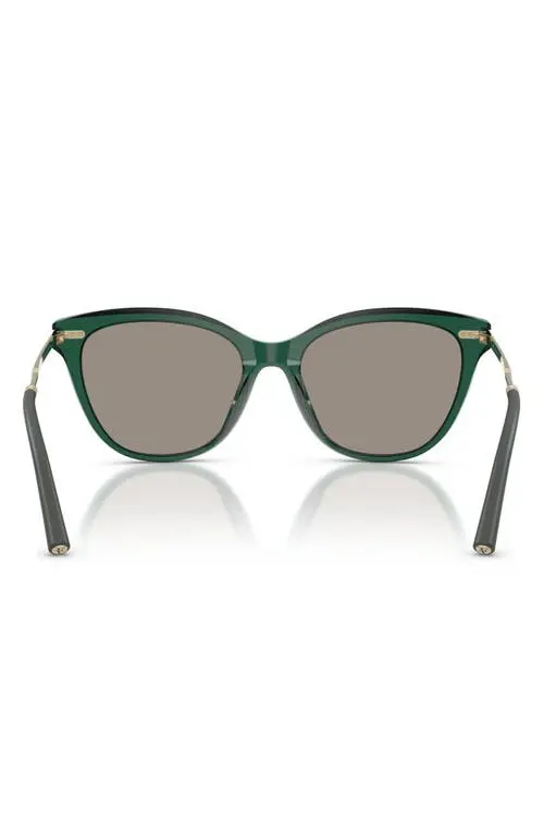 Oliver Spencer X Roger Federer Cat Eye Sunglasses - Translucent Dark Teal