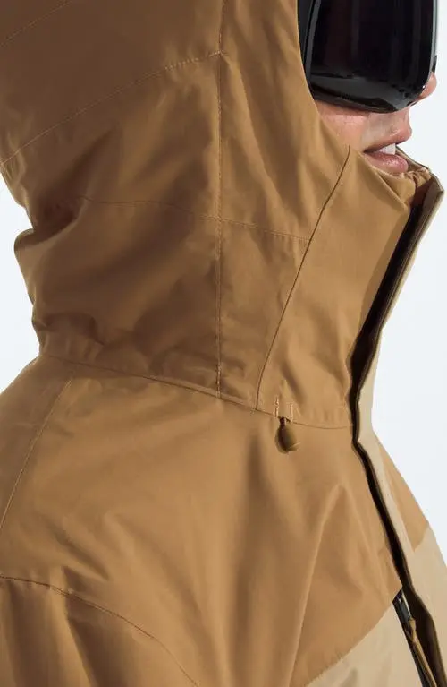 The North Face Freedom Insulated Jacket