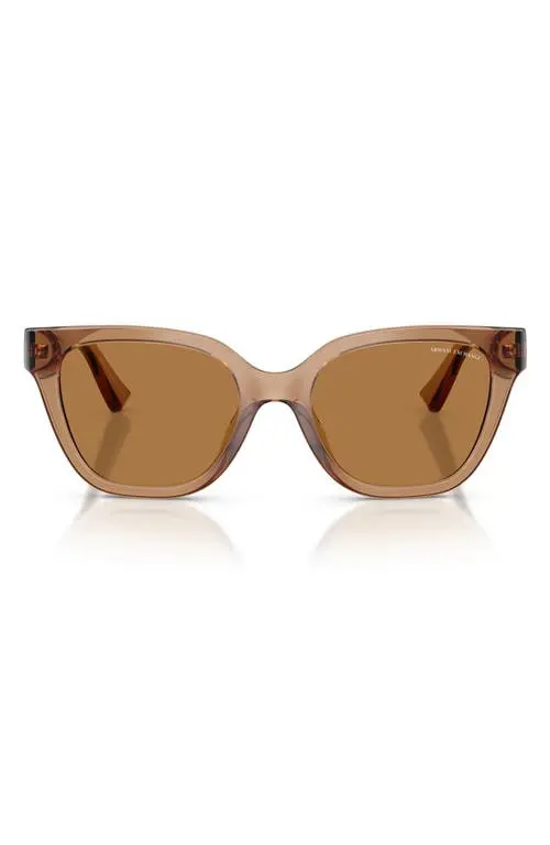 Armani Exchange 53mm Cat Eye Sunglasses - Shiny Brown/bronze