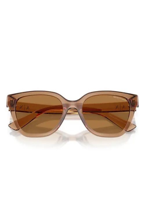 Armani Exchange 53mm Cat Eye Sunglasses