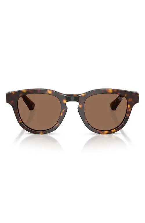 Burberry 48mm Phantos Sunglasses - Dark Havana/dark Brown