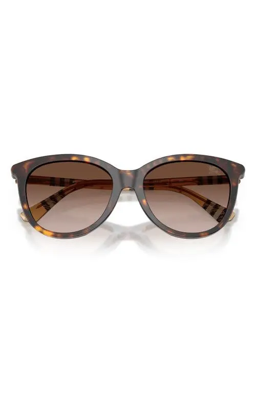 Burberry 55mm Phantos Sunglasses - Dark Havana/brown Gradient