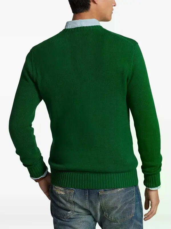 Polo Ralph Lauren Embroidered Crewneck Sweater - Green
