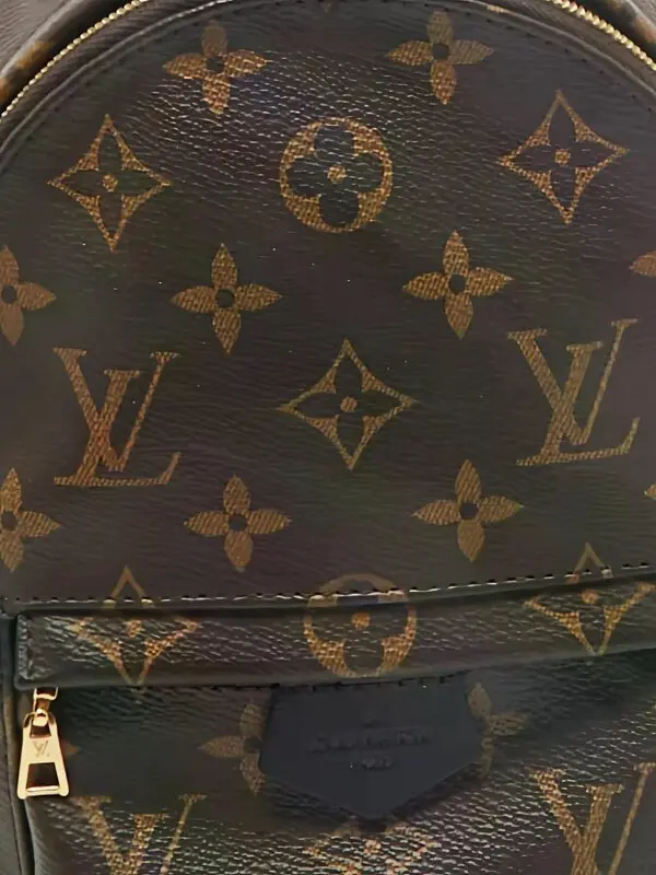 LOUIS VUITTON Mini Palm Springs Monogram Backpack