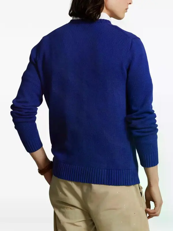 Polo Ralph Lauren Crew-neck Sweater - Blue