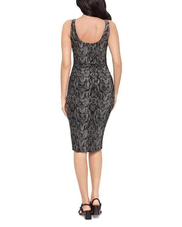 Miraclesuit Regi Shaping Dress