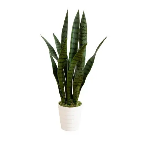 NEARLY NATURAL 2-ft Uv Resistant Artificial Sansevieria Snake Plant In White Decorative Planter - Green