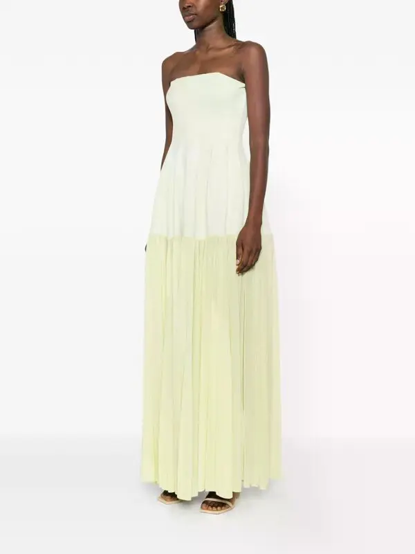 Simkhai Strapless Pleated Maxi Dress