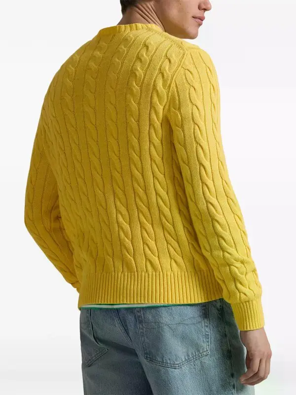 Polo Ralph Lauren Cable-knit Sweater With Embroidery - Yellow