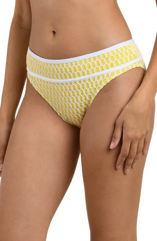 La Blanca Prep Banded Bikini Bottom