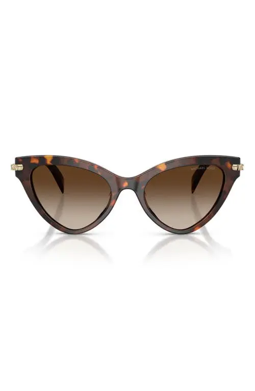 Michael Kors 52mm Gradient Cat-eye Sunglasses - Luggage Tortoise/smoke