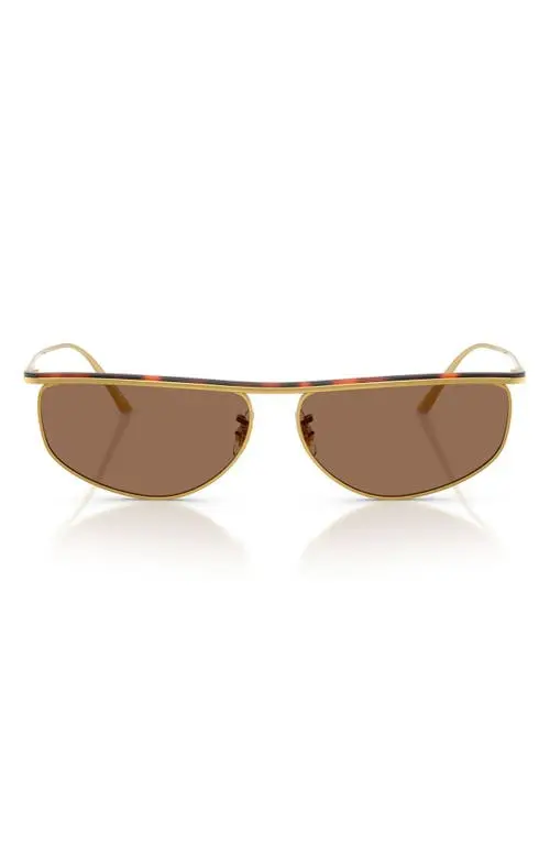 Oliver Spencer X Khaite Oval Sunglasses - Gold/dark Mahogany/brown