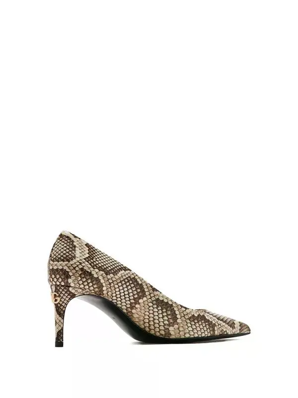 Dolce & Gabbana Snake-print Pumps With Logo