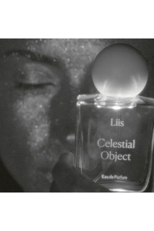 LIIS Celestial Object