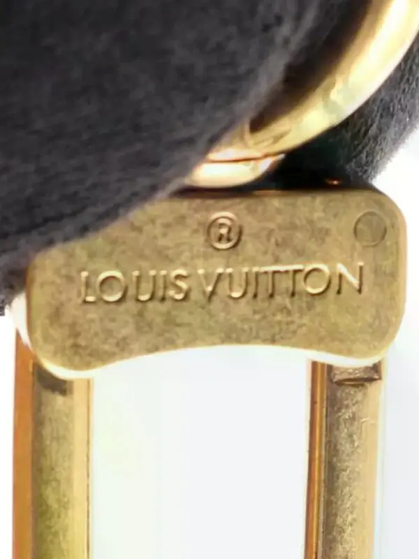 LOUIS VUITTON 2000-2020 Monogram Danube Crossbody Bag