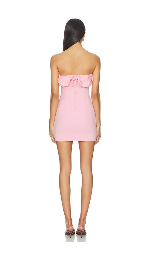 more to come pink mini dress More To Come Cristina Mini Dress - Pink