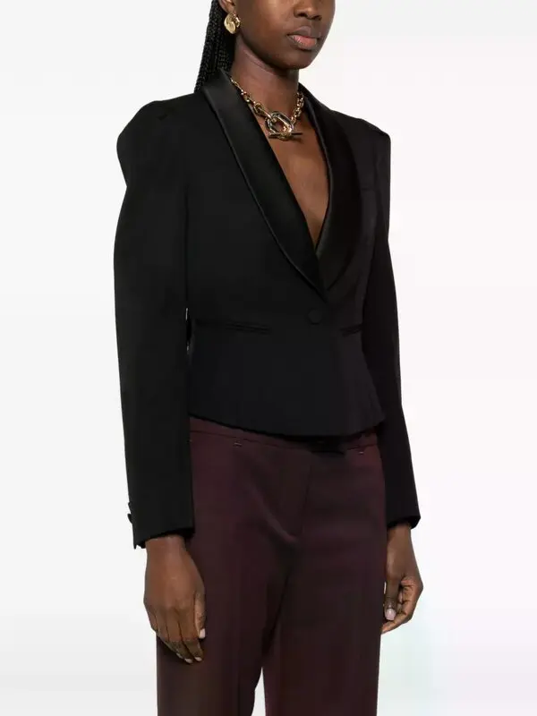 Alexander McQueen Shawl-lapel Fitted Blazer