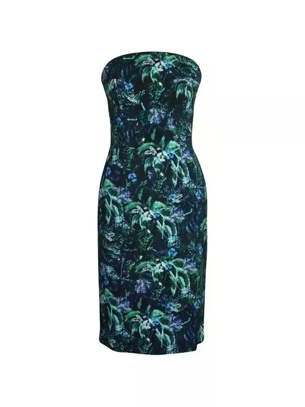 Erdem Floral Print Strapless Dress