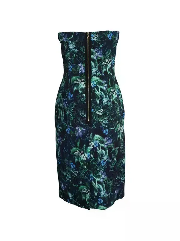 Erdem Floral Print Strapless Dress