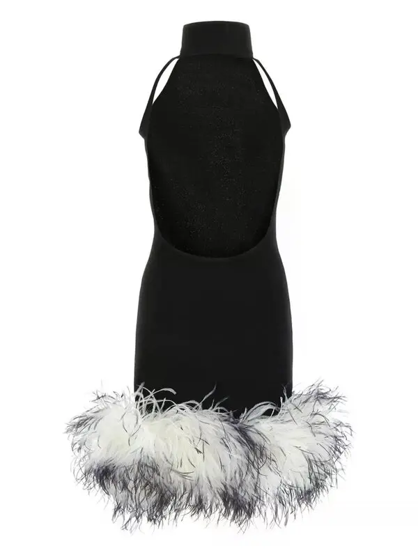 VERGUENZA Mini Dress With Feather Detailing