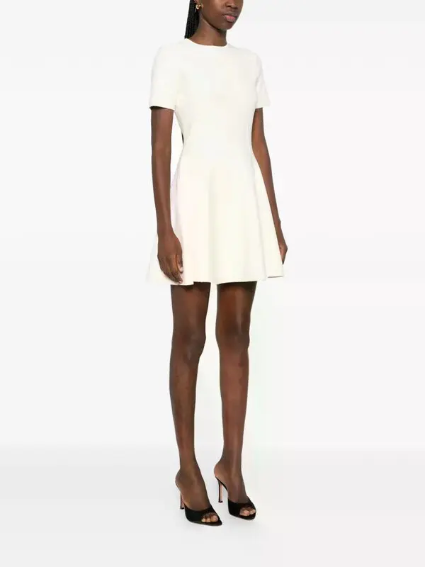 Alexander McQueen Mini Dress