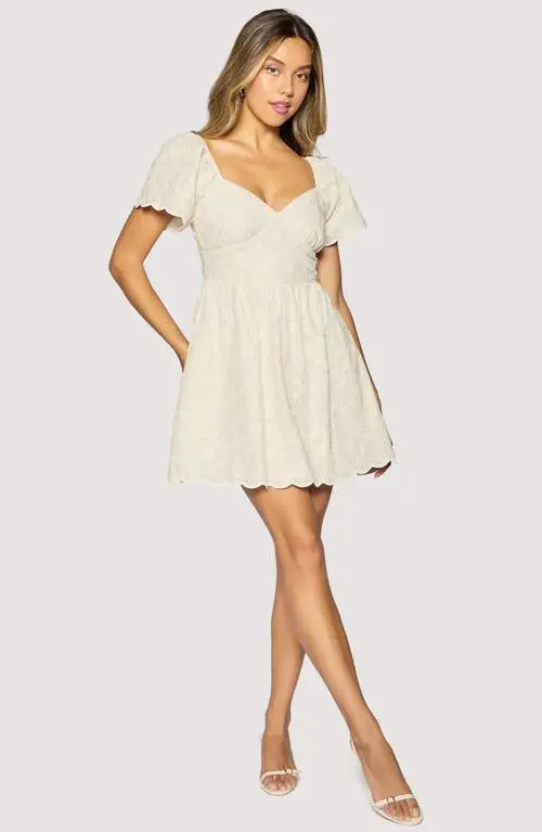 LOST + WANDER Embroidered Fit-and-flare Mini Dress