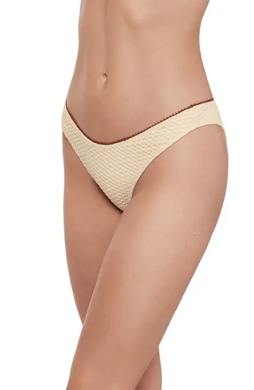 Steve Madden Scoop Front Hipster Bikini Bottom