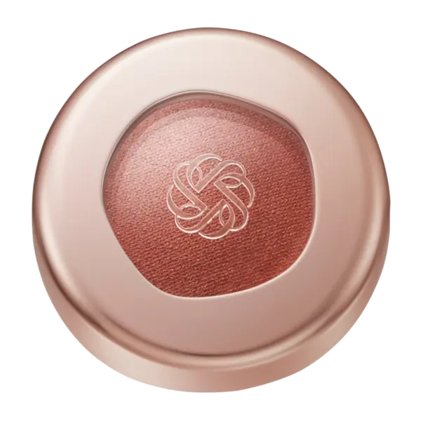 DECORTE Eye Glow Gem Skin Shadow Silky Matte - 27m Rustic Brown