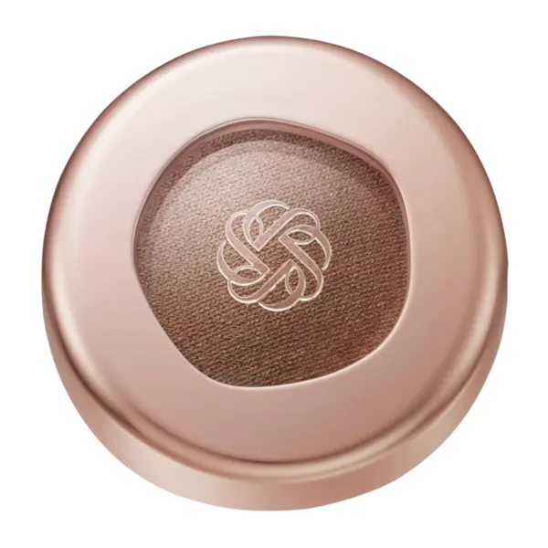 DECORTE Eye Glow Gem Skin Shadow Silky Matte - 24m Rich Mocha