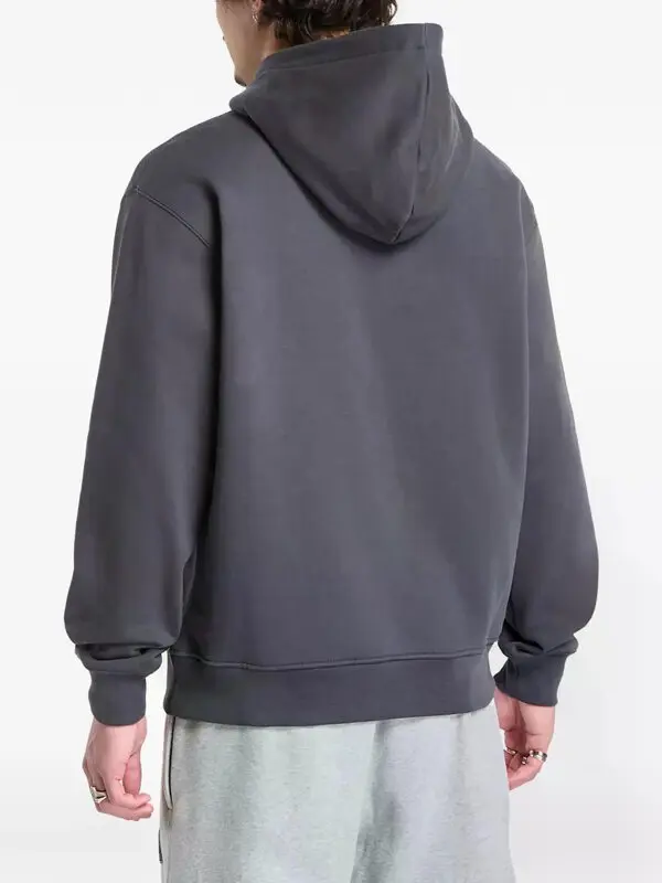 JORDAN Paris Saint-germain Hoodie - Grey