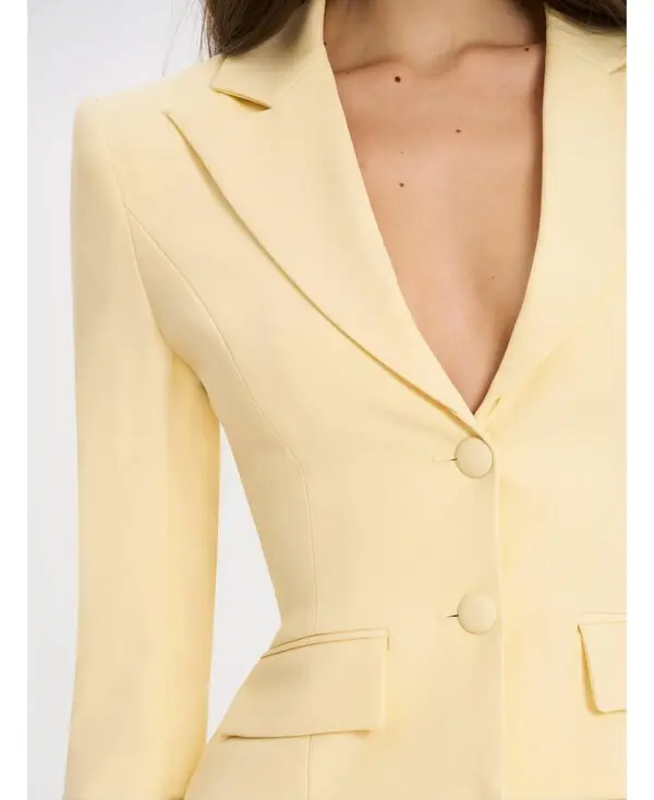 MISS CIRCLE NEW YORK Quinne Business Casual Slim-fit Blazer - Yellow