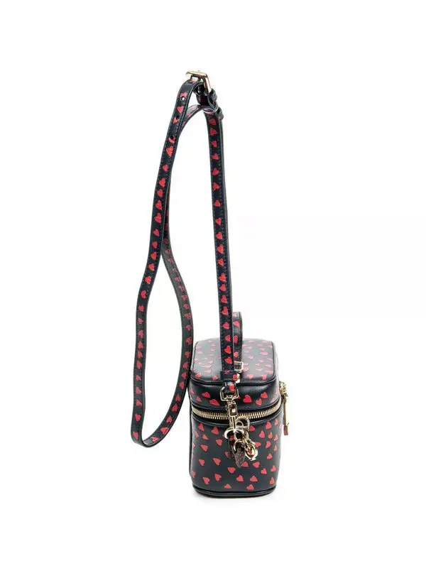 Dior Micro Lady Vanity Bag Heart Print
