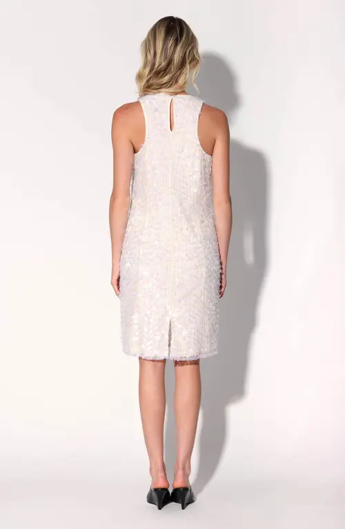 Walter Baker Noella Opalescent Beaded Dress