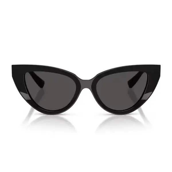 Dolce & Gabbana Dg Hinge Sunglasses - Black