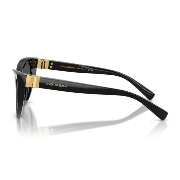Dolce & Gabbana Dg Hinge Sunglasses