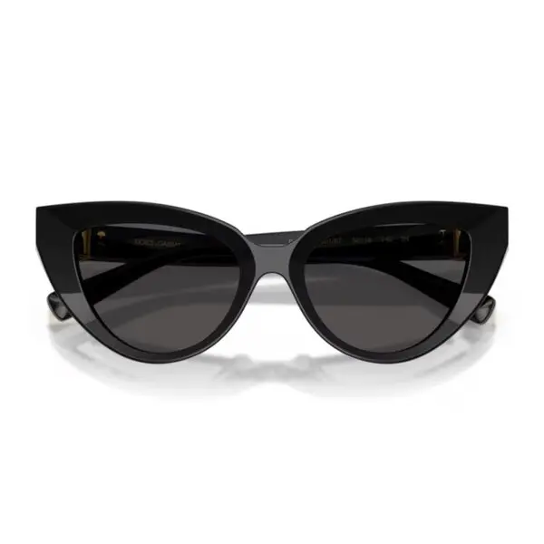 Dolce & Gabbana Dg Hinge Sunglasses