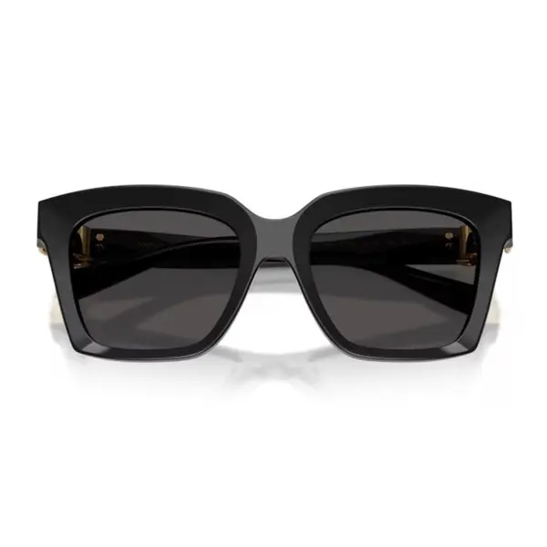 Dolce & Gabbana Dg Hinge Sunglasses - Black