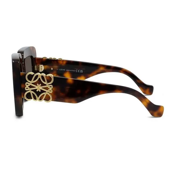 Loewe Oversized Square Frame Sunglasses