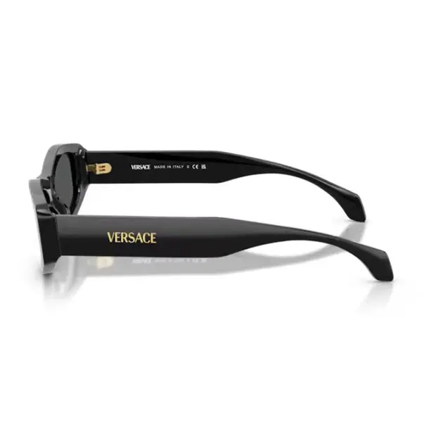 Versace 0ve4487 U Signature Sunglasses