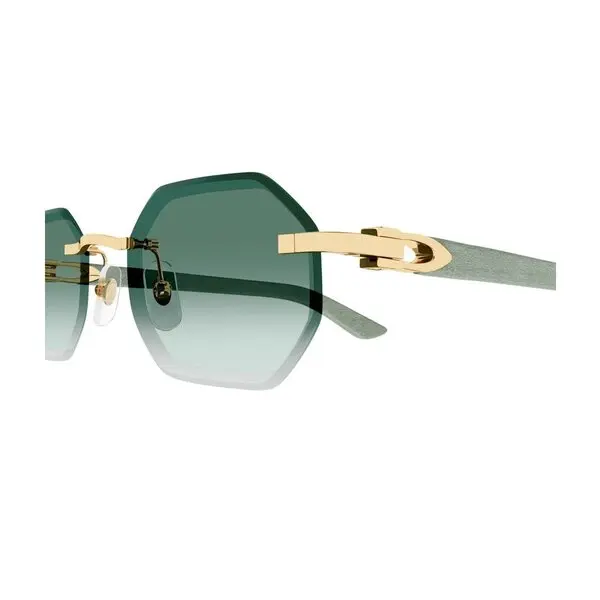 CARTIER Ct0439s Décor C Allongé De Sunglasses