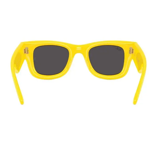RAY BAN Ray-ban Wayfarer Puffer Sunglasses