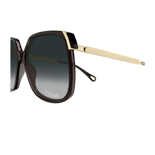 Chloé Ch0286s Aly Sunglasses