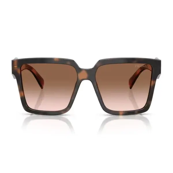 Prada Pr 24zs Sunglasses - Havana