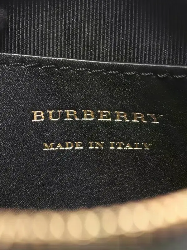 Burberry 2010s Check Link Mini Bag