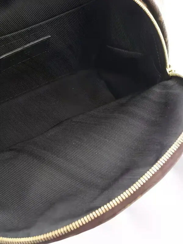 LOUIS VUITTON 2021 Mini Palm Springs Monogram Backpack